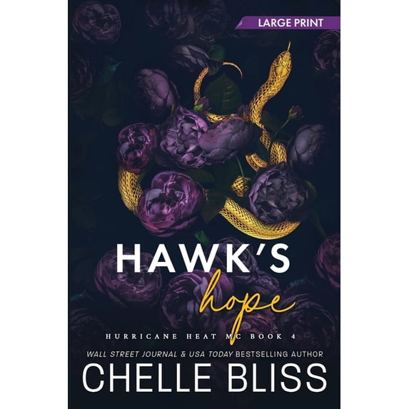 Hurricane Heat MC Hawk's Hope: Large Print Edition, Book 4, (Paperback ...