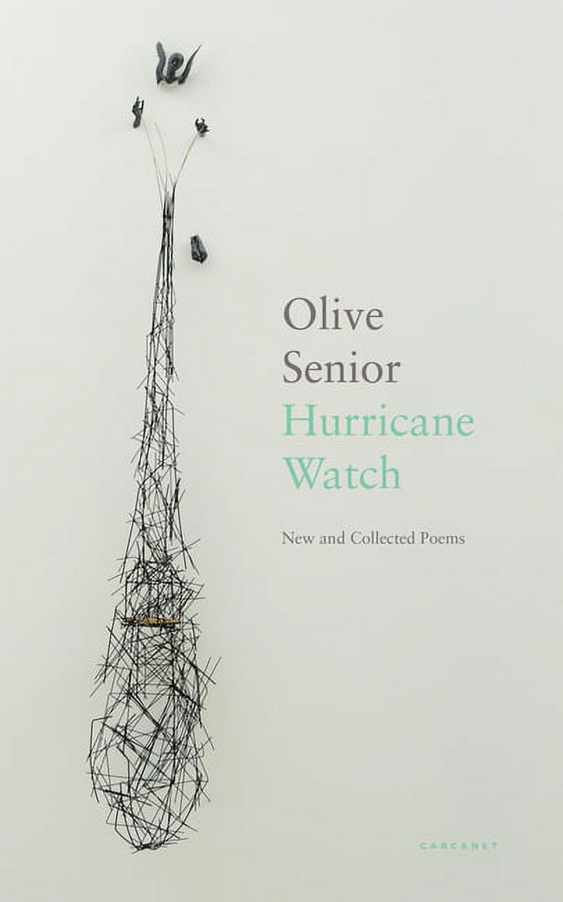 Hurricane Watch: New and Collected Poems, (Paperback) - Walmart ...
