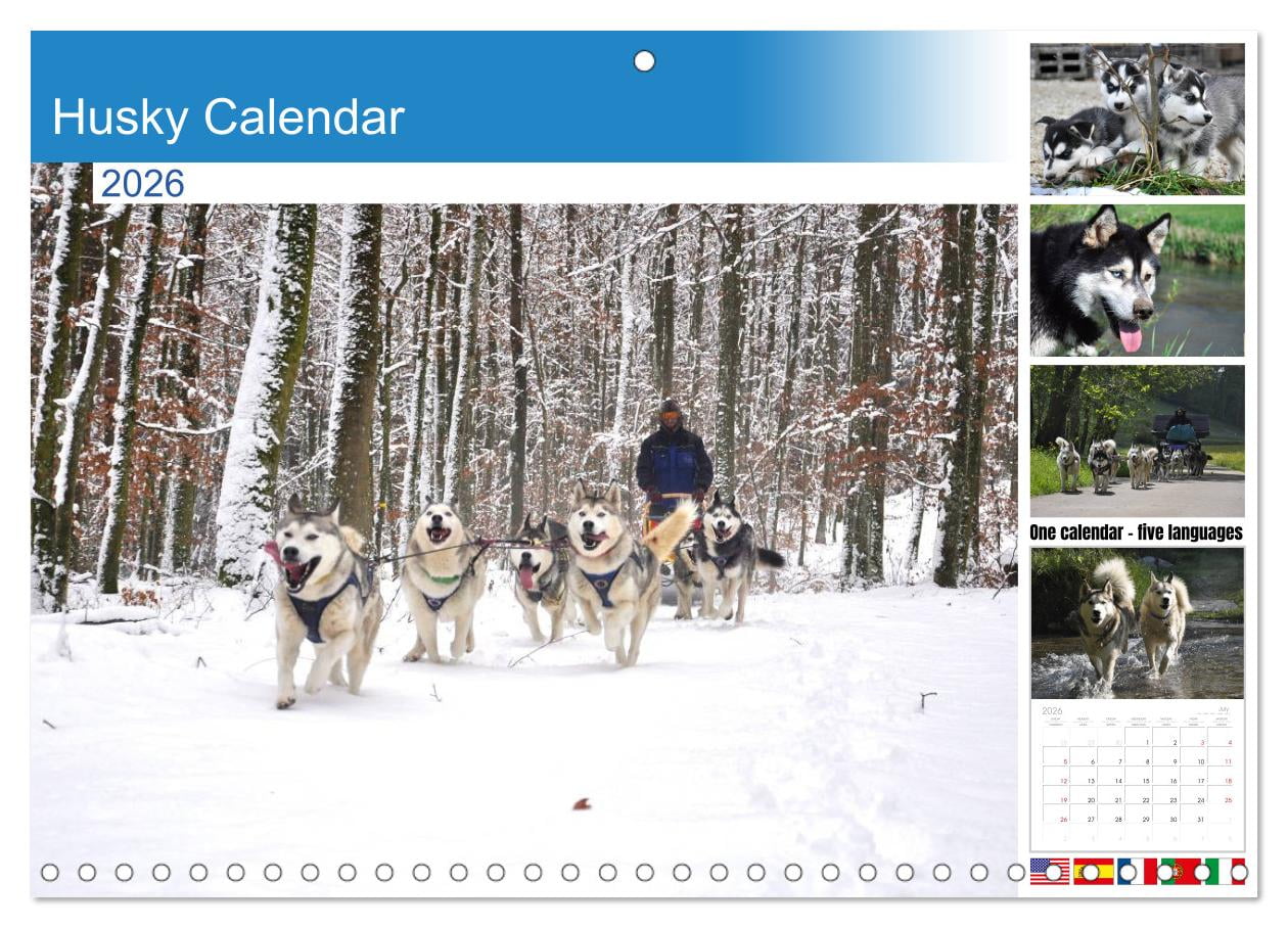 Husky Calendar (Monthly Wall Calendar 2026 11.7 x 16.5 (open ...