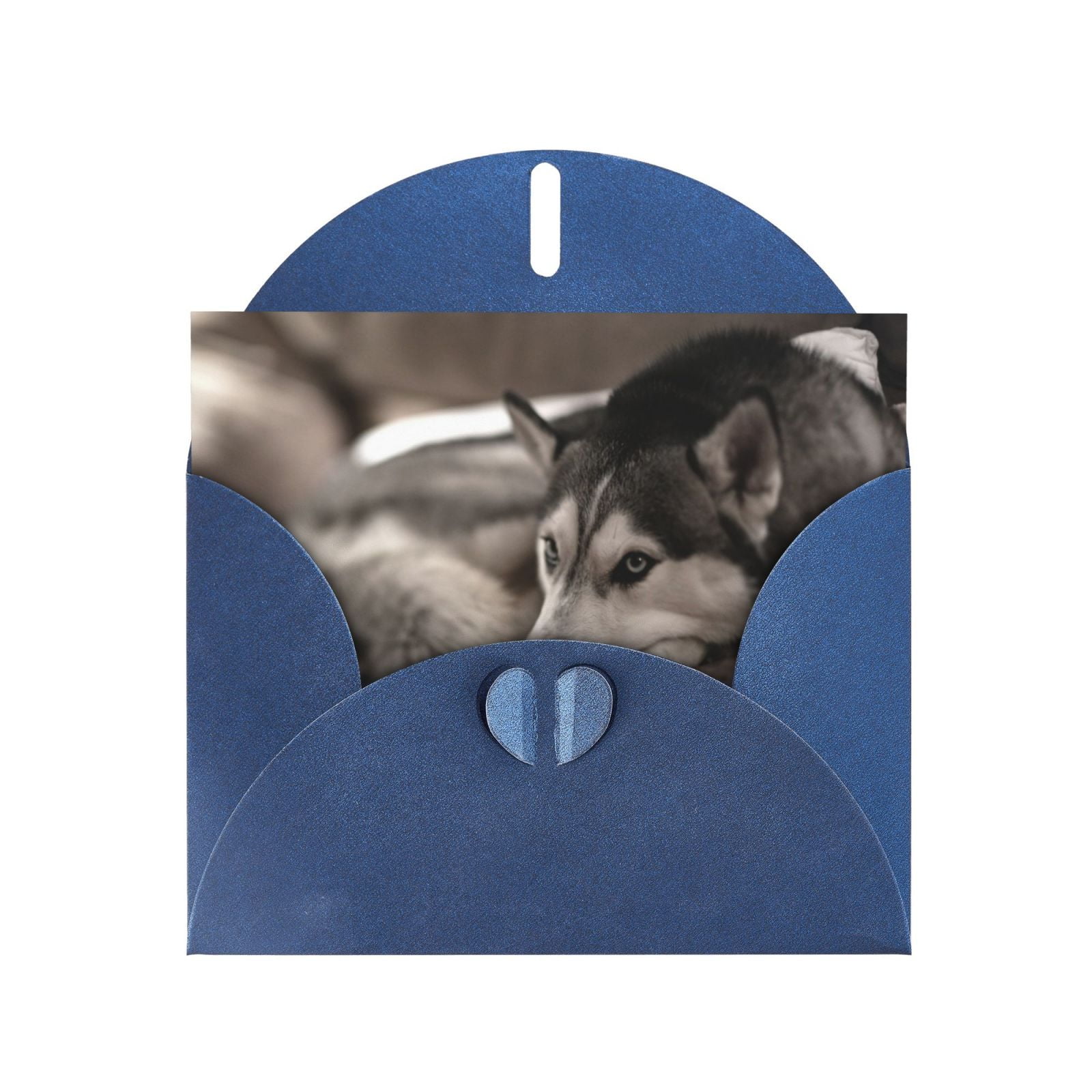 Husky Dog 1 Birthday Cards Blank Cards Greeting Card With Envelopes ...