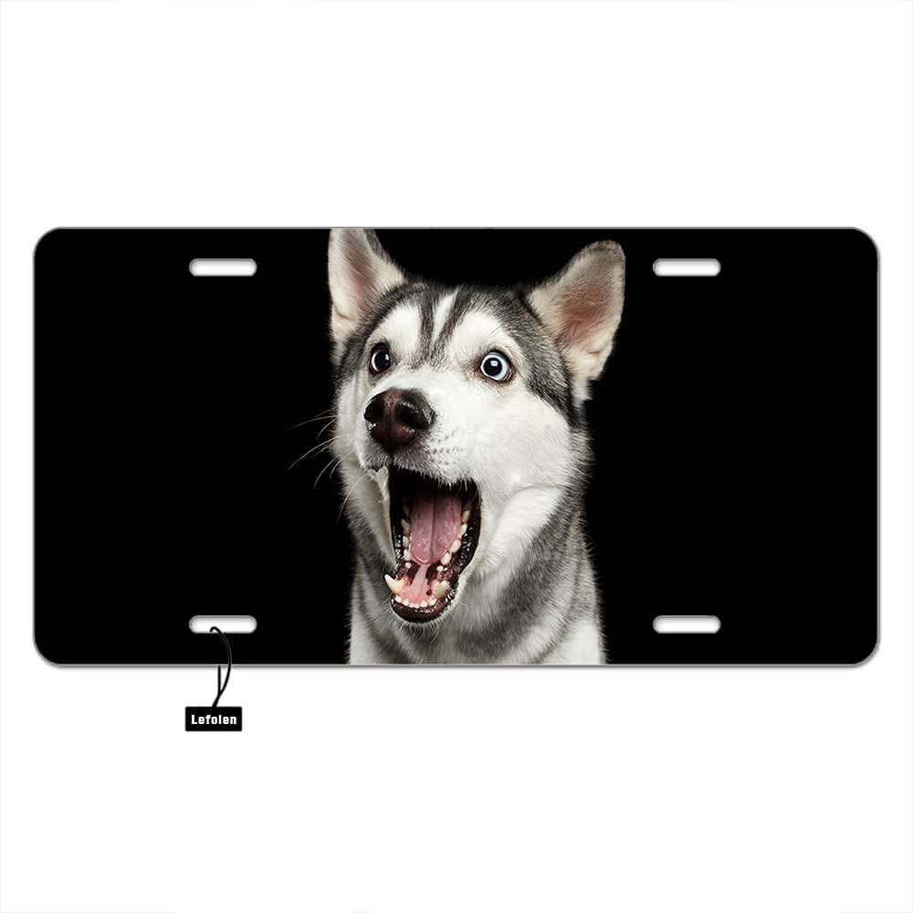 Husky Dog Surprised Car Front License Plate Cute Animal Puppy Pet Open ...