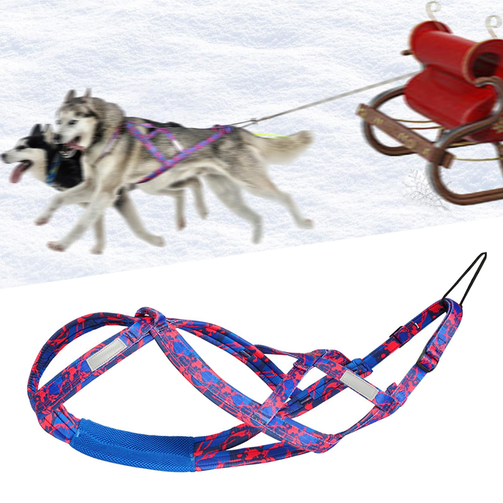 Husky Harness Running Harness for Medium Large Dogs, Speed Training ...