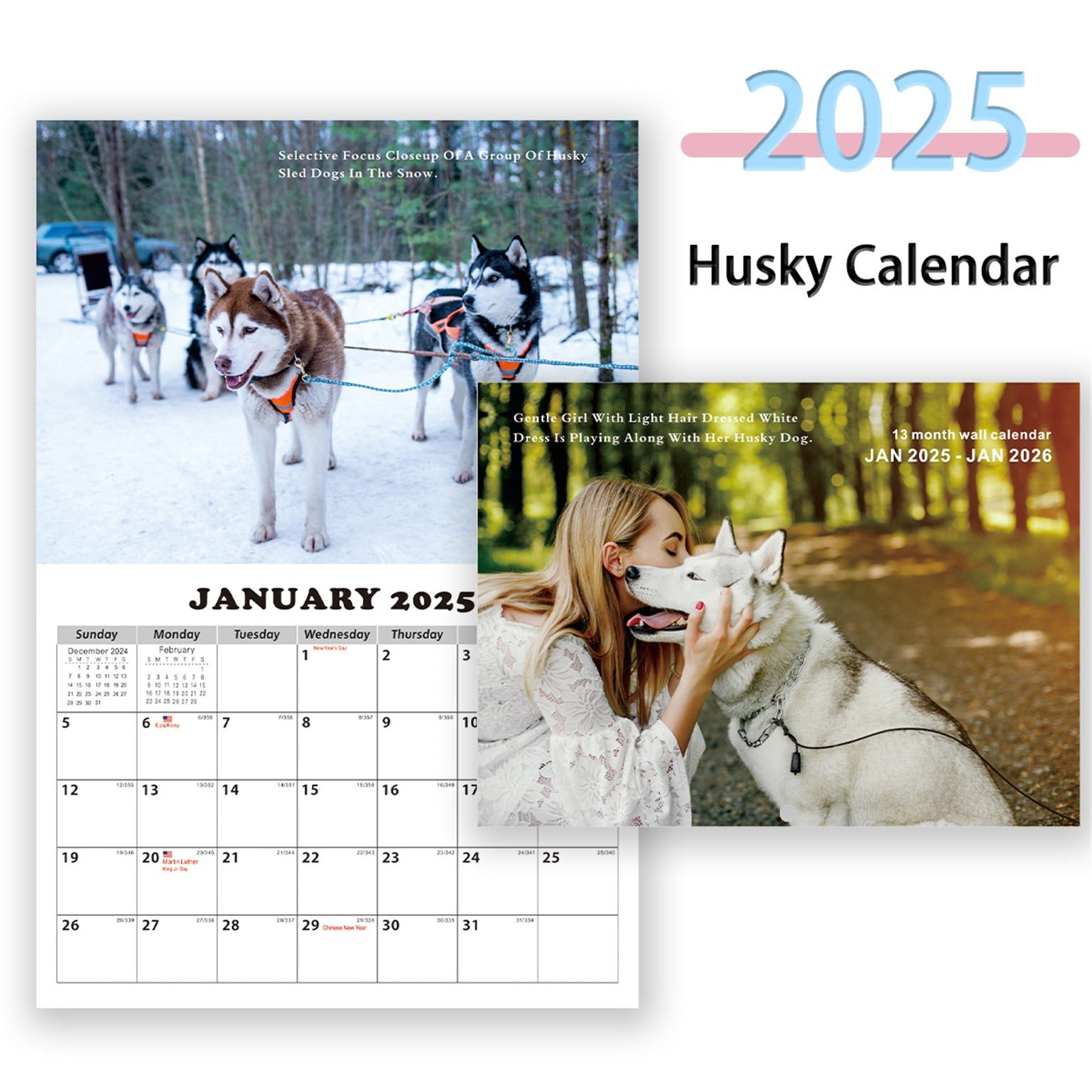 Husky'S Dog Calendar 2025 English Calendar Calendar Interesting Family ...