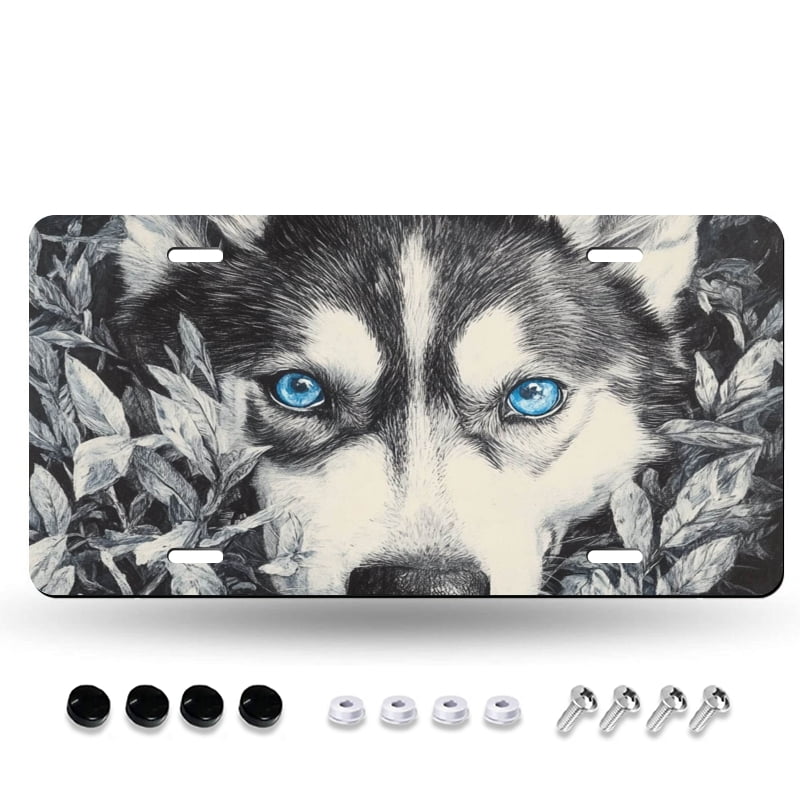 Husky with Enchanting Blue Eyes License Plate Frame, Decorative Novelty ...
