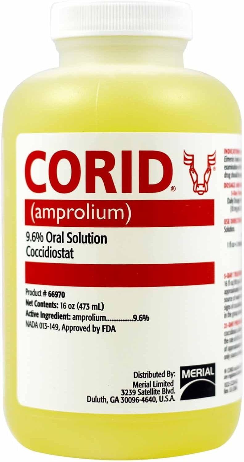Huvepharma D-Corid 9.6% Oral Medication Solution for Calves, 16 Ounce ...