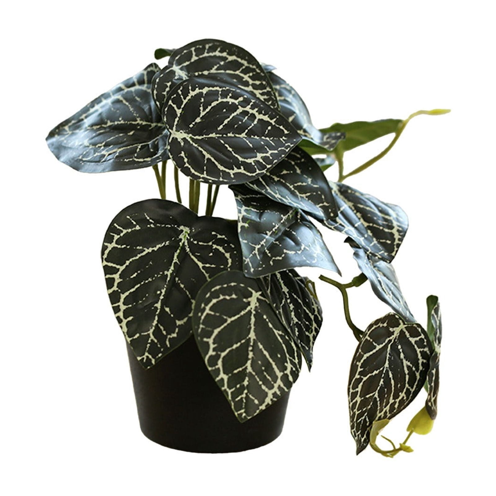 Hvmvliv Fake Flower Pots Simulation Fittonia Verschaffeltii Pot Home ...