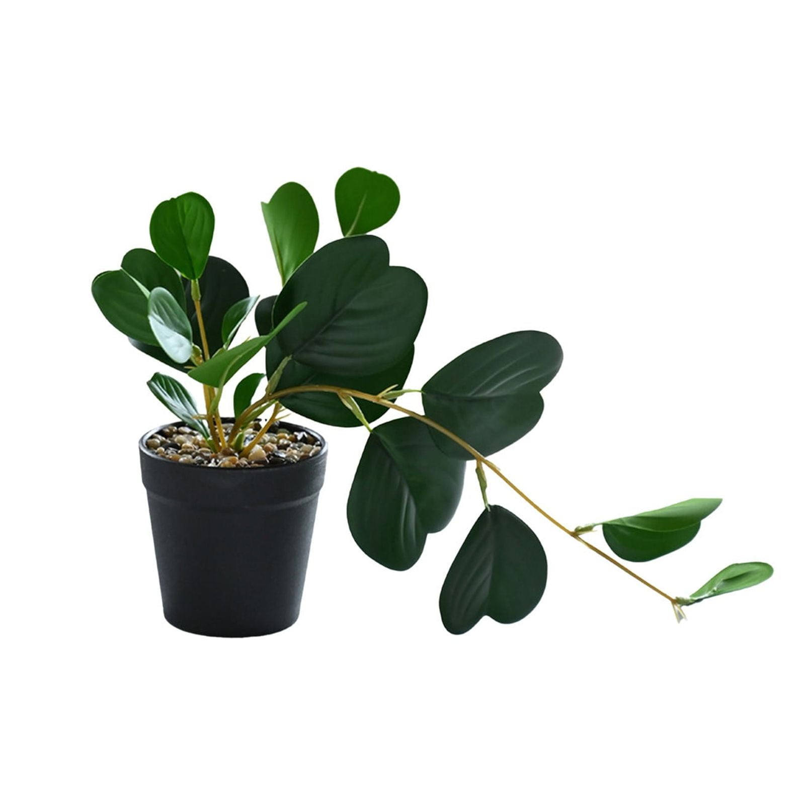 Hvmvliv Fake Flower Pots Clearance Simulation Peperomia Obtusifolia ...