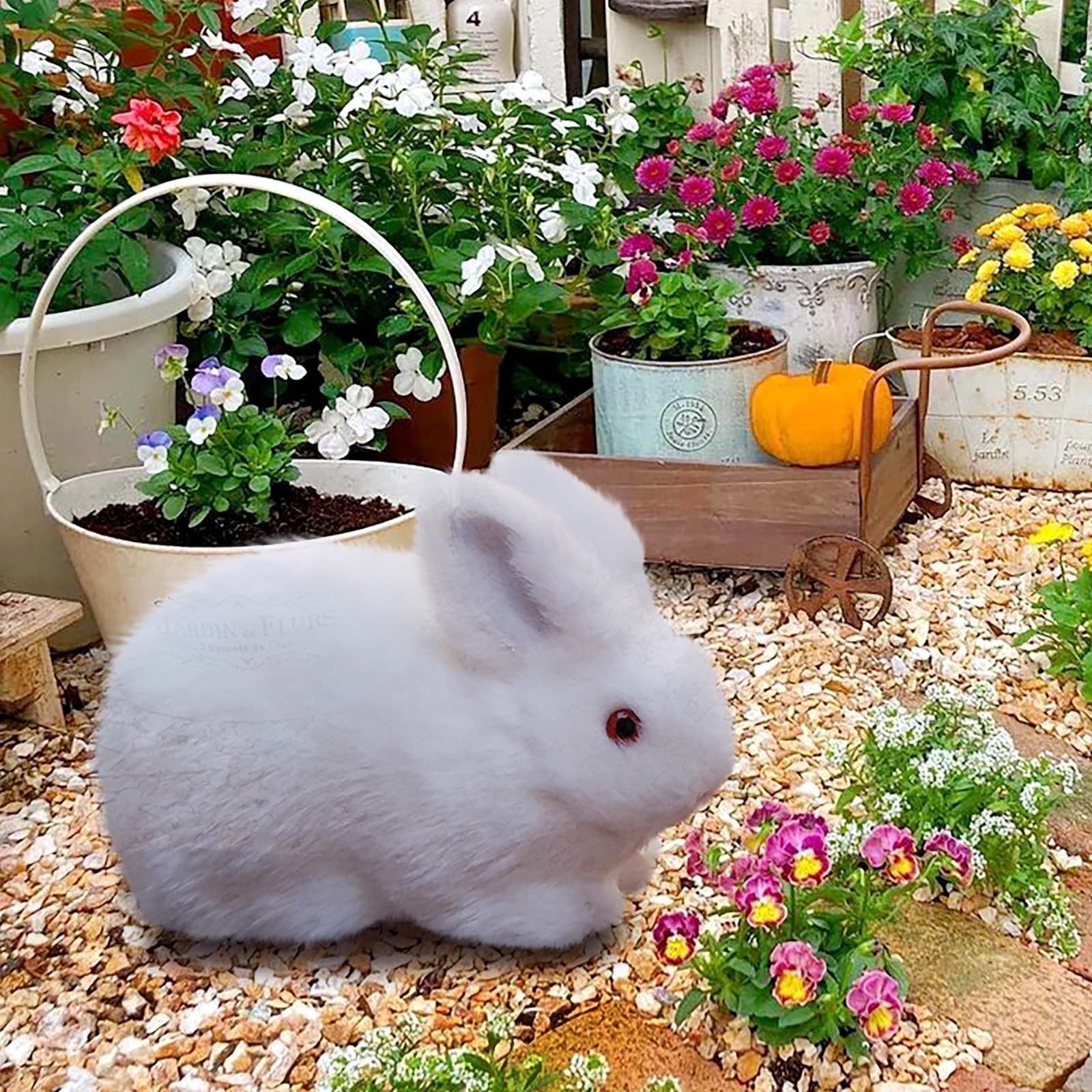 Hxlamzoo Clearance Sales Simulated Rabbits Yellow Rabbits White Rabbits ...