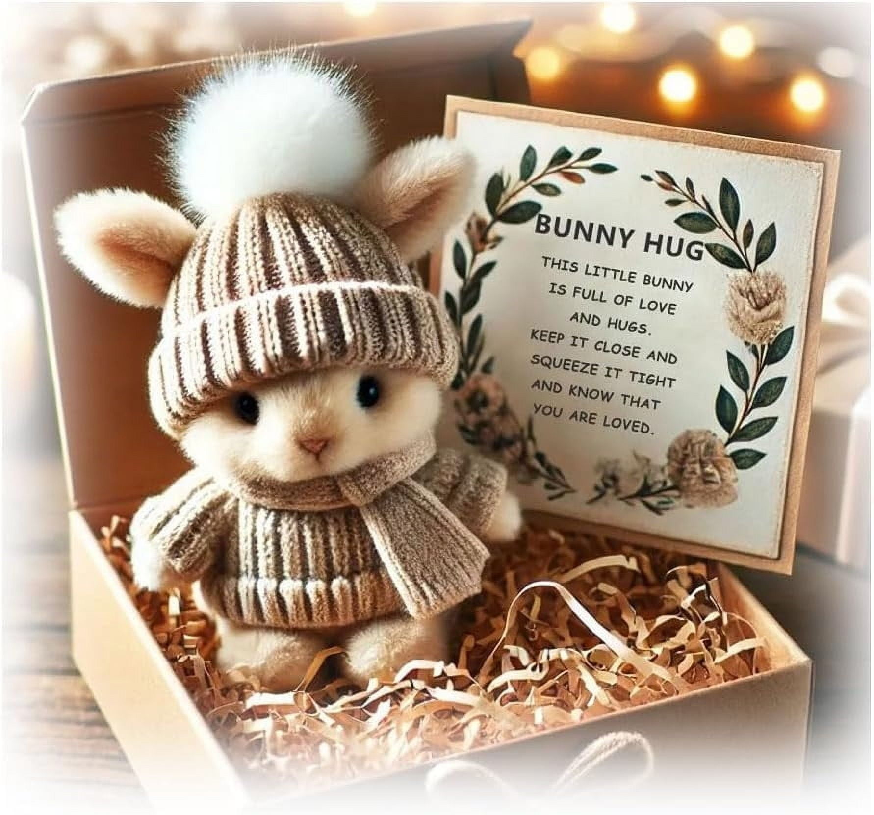 Hxlamzoo Mini Bunny Hug Easter Gift Plush 2025 Bunny in a Box Hugs Positive Bunny Stuffed Animal ...