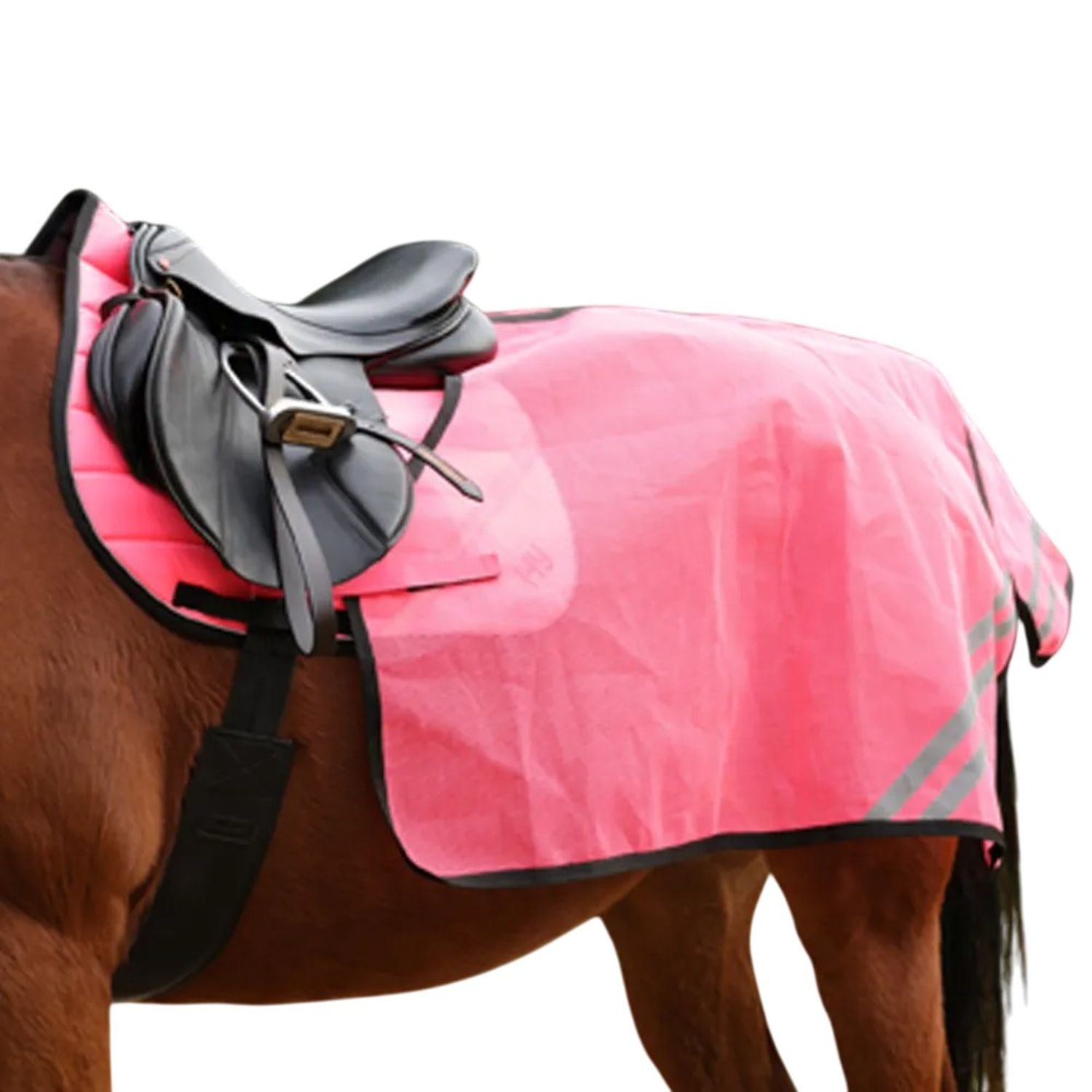 HyVIZ Quarter Reflective Summer Horse Exercise Sheet - Walmart.com