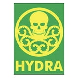 Marvel Comics Hydra Insignia Refrigerator Magnet - Walmart.com