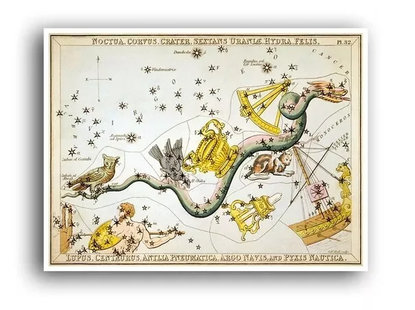 Hydra Poster Sidney Hall Constellation Map Star Chart Art NO FRAMED ...