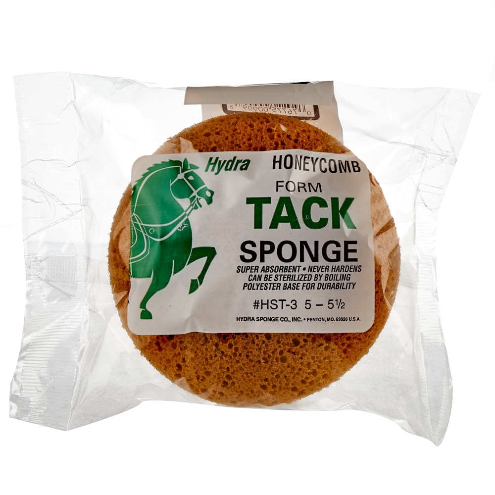 Hydra Sponge Hydra Honeycomb Tack Sponge Large - HST-3 - Walmart.com