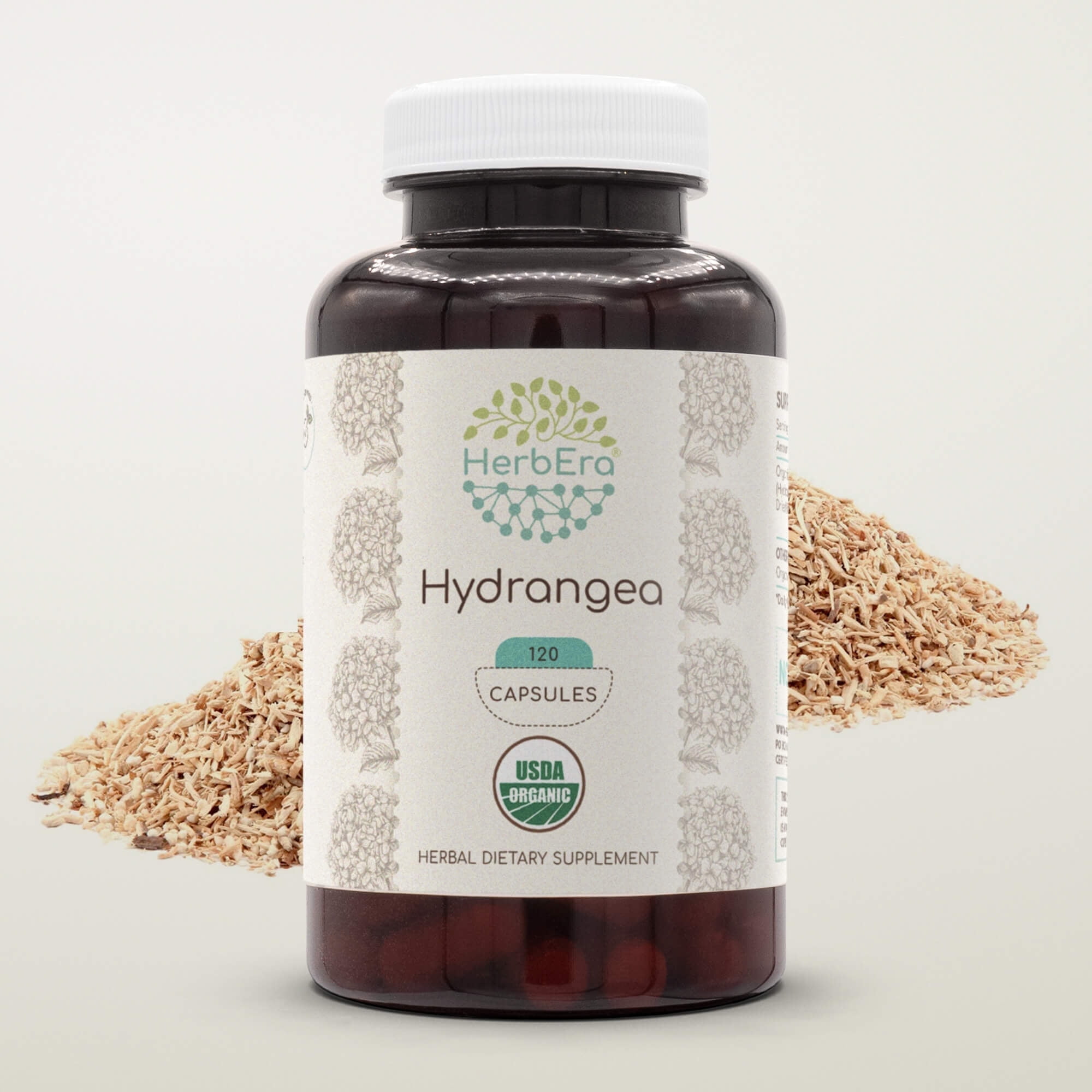 HerbEra Hydrangea Capsules, Organic Herbal Dietary Supplement for ...