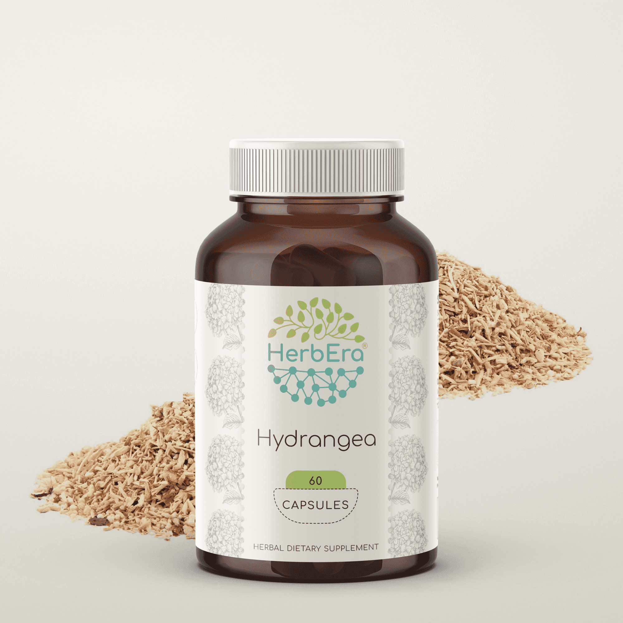 HerbEra Hydrangea Capsules, Herbal Dietary Supplement for Urinary Tract ...