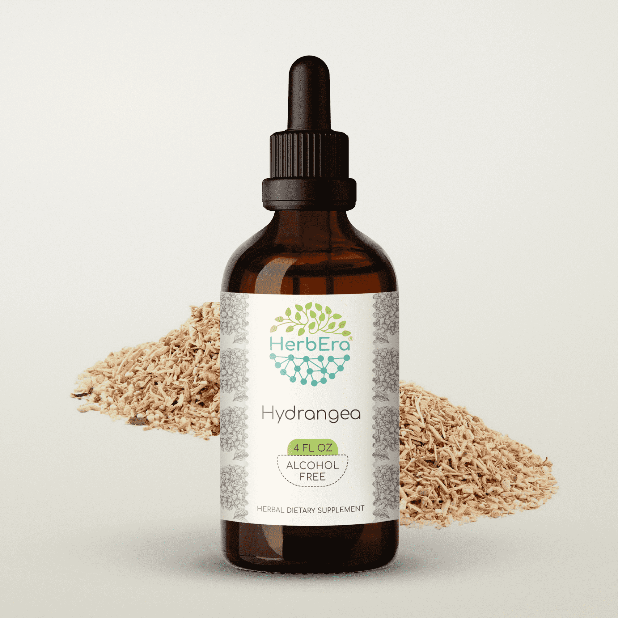 HerbEra Hydrangea Tincture, Herbal Dietary Supplement for Urinary Tract ...