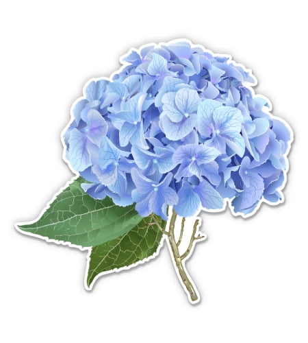 Hydrangea Blue Flower - 12" Vinyl Sticker Waterproof Decal - Walmart.com