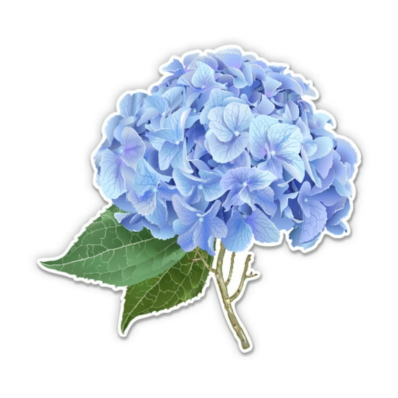 Hydrangea Blue Flower - 12" Vinyl Sticker Waterproof Decal - Walmart.com