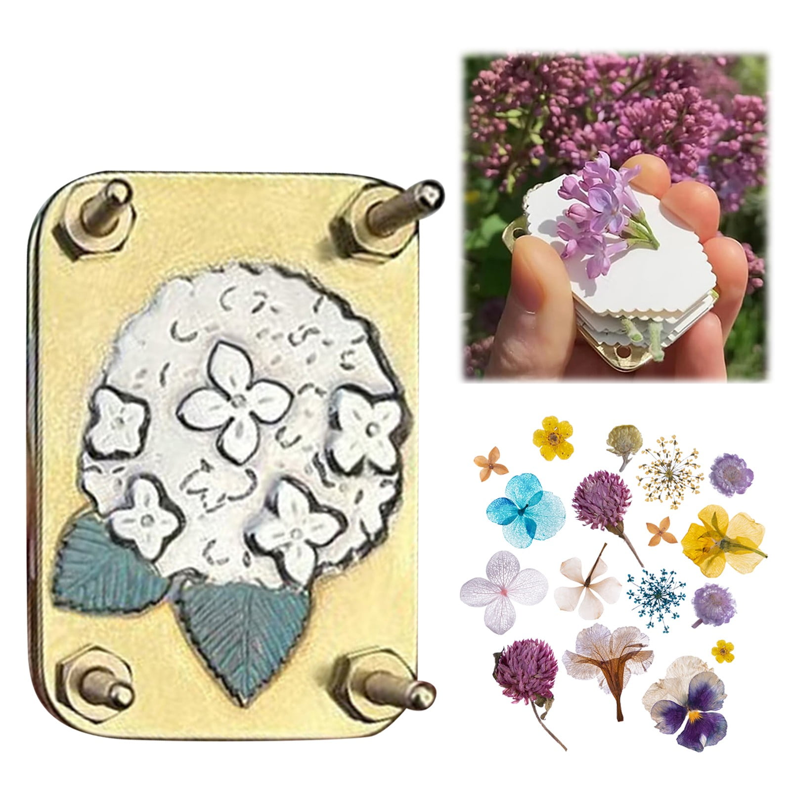 Hydrangea Flower Press - Mini Micro Flower Press Kit Miniature Flower Press Kit, Plants Art ...