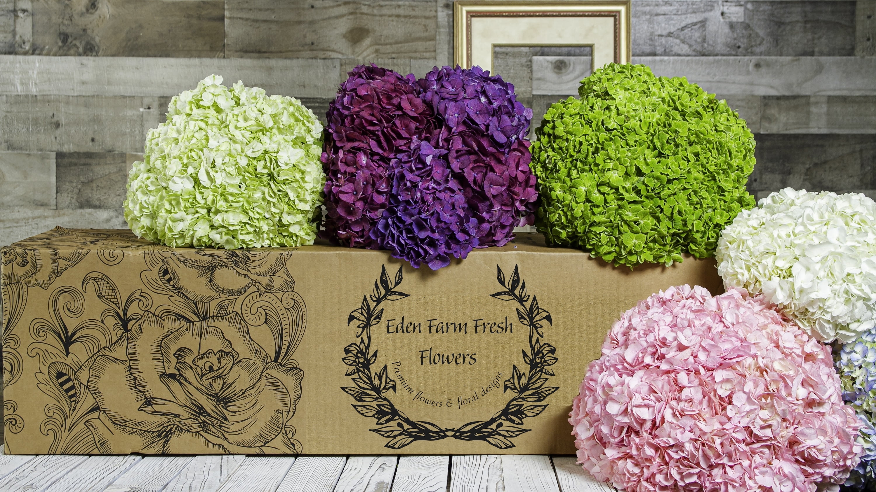 Hydrangea Mix Box 10 Stems - Walmart.com