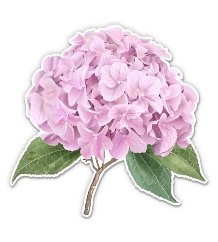 Hydrangea Pink Flower - 3" Vinyl Sticker - For Car Laptop Water Bottle ...