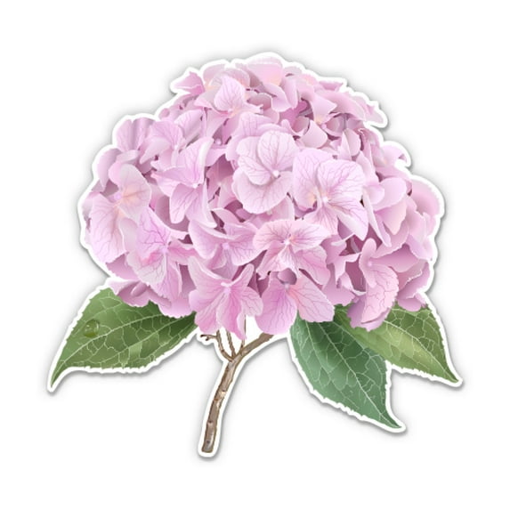 Hydrangea Pink Flower - 5" Vinyl Sticker - For Car Laptop I-Pad ...