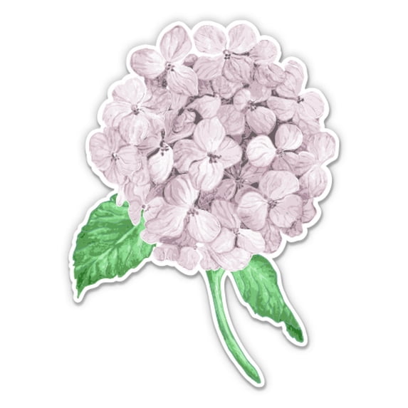 Hydrangea Pretty Flower - 3" Vinyl Sticker - For Car Laptop Water ...