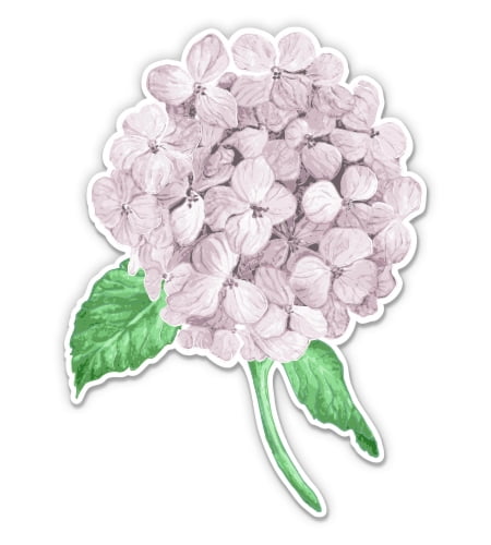 Hydrangea Pretty Flower - 5" Vinyl Sticker - For Car Laptop I-Pad ...