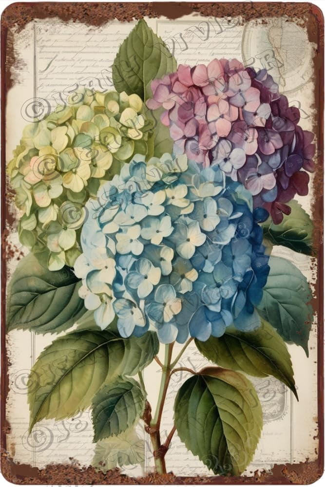 Hydrangea Retro Aluminum Sign 12x8 in Metal Sign Hydrangea Flower ...