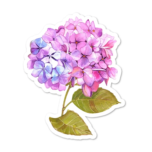 Hydrangea Sticker, Water Resistant, Scrapbooking, Laptop,Phone Decal ...