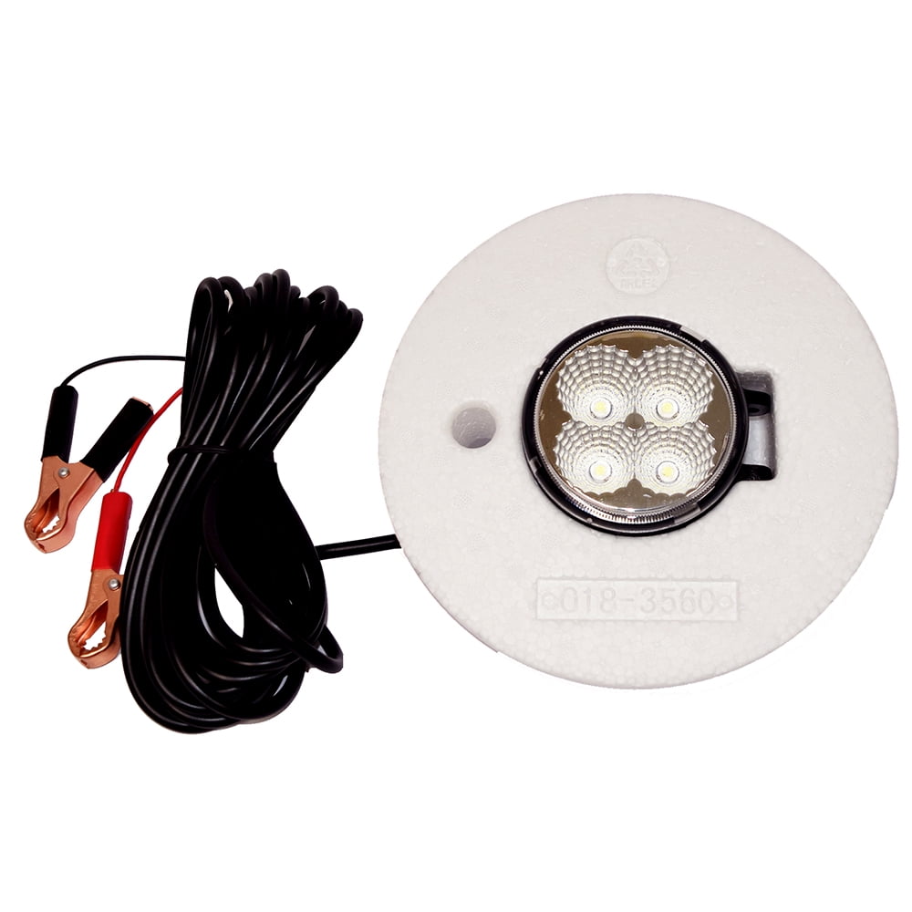 Hydro Glow Small Fishing FFL12 Floating Fish Light with 20' Cord - LED ...