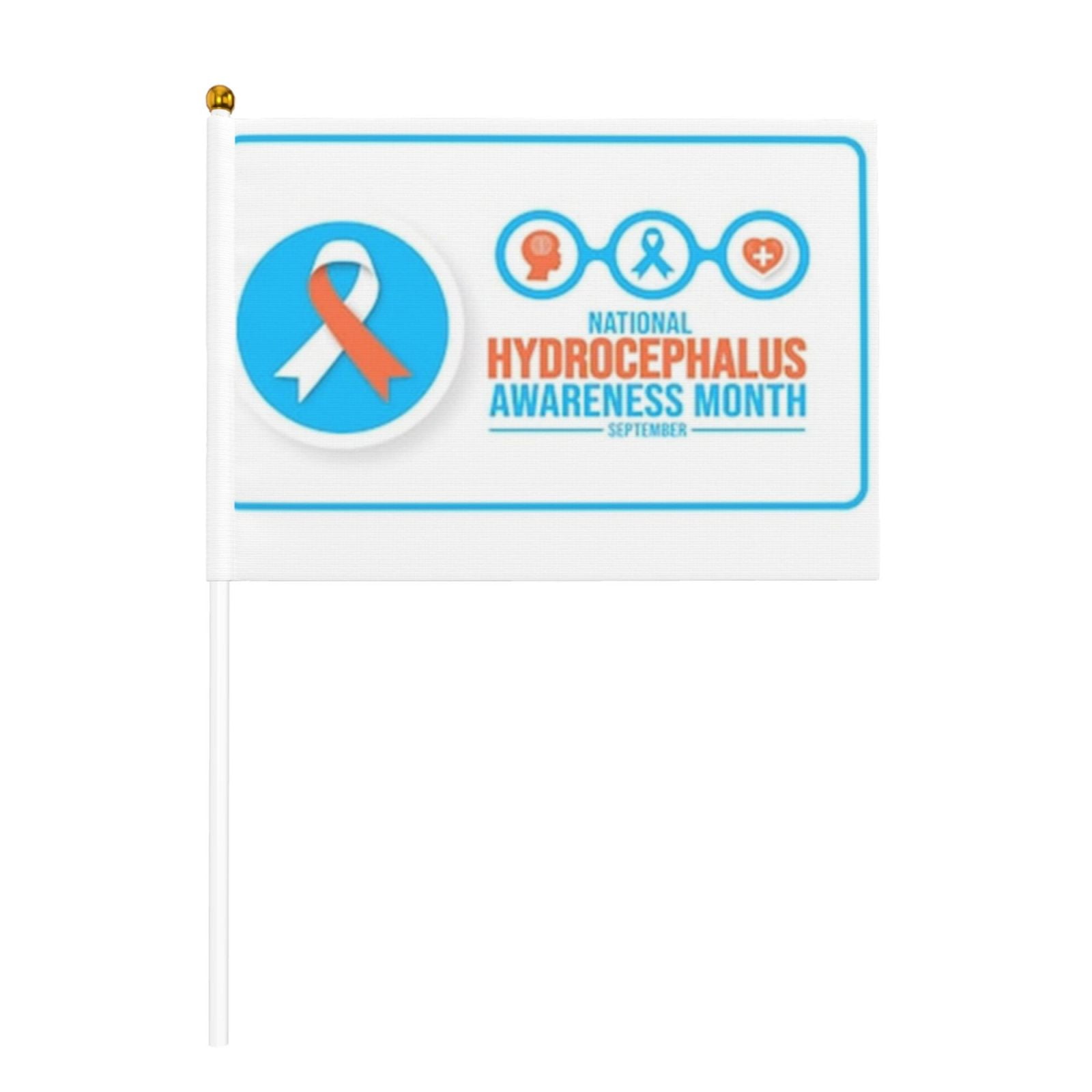 Hydrocephalus Awareness Month Blue Ribbon Flag Small Mini Hand Held ...