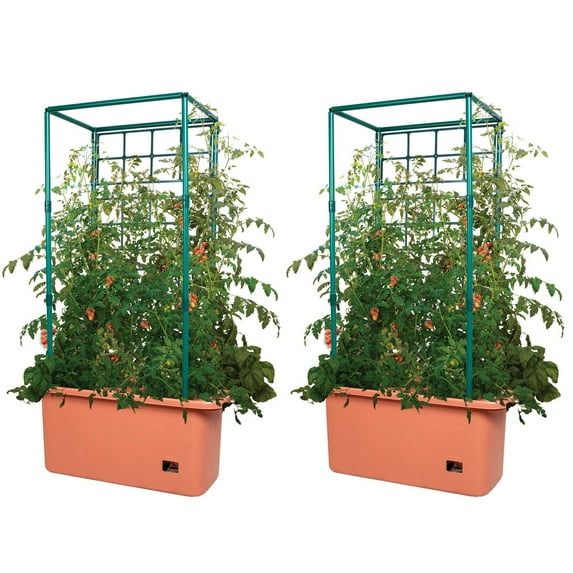 Hydrofarm 10 Gal Tomato Trellis Self Watering Planter, Garden Grower ...