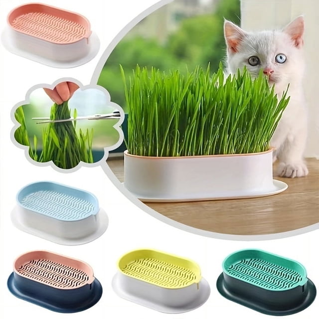Hydroponic Cat Grass Growing Pot for Improved Digestion and Health ...