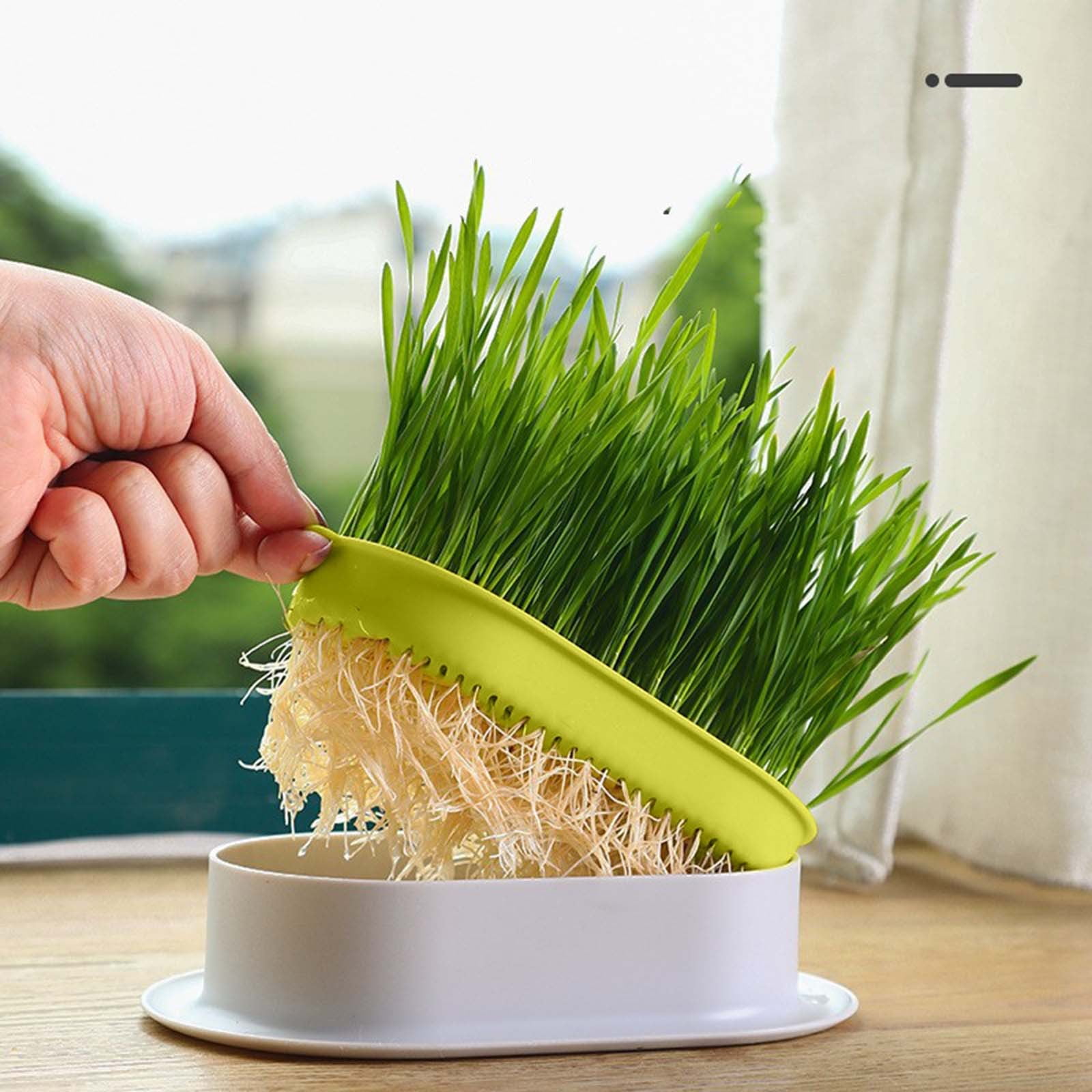 Hydroponic Cat Grass Planter Kit - Soilless Organic Wheatgrass Growing Tray for Indoor Cats, Pet ...