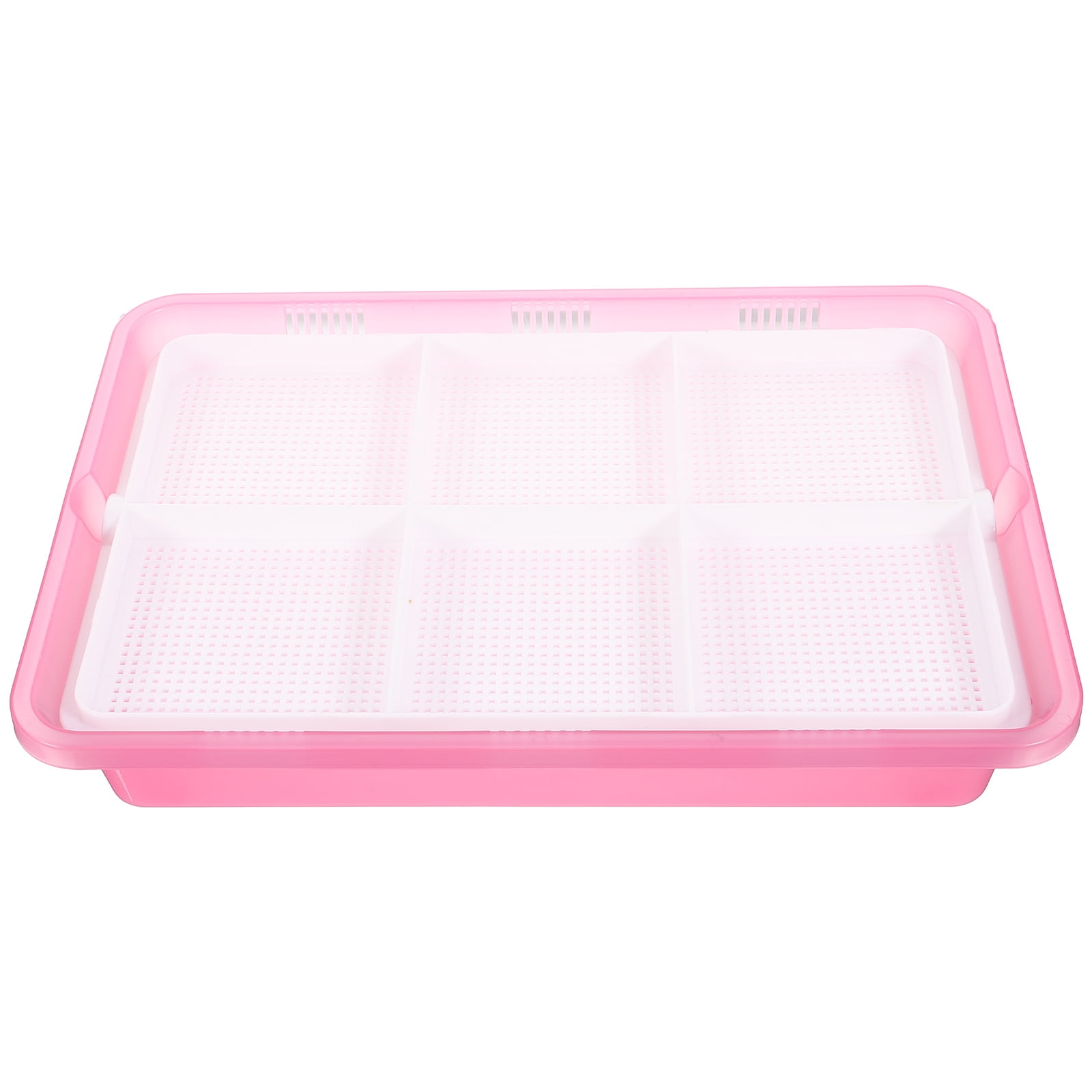 Home Cat Grass Plant Planter 1 Set Hydroponic Catnip Grass Planting Box ...