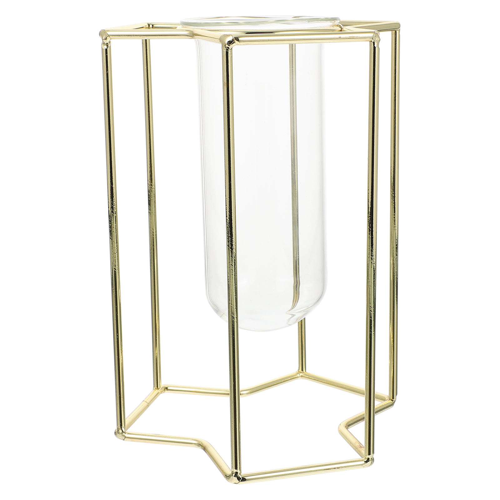 Hydroponic Glass Vase Pots for Plants Glass Tube Vase Hydroponic ...