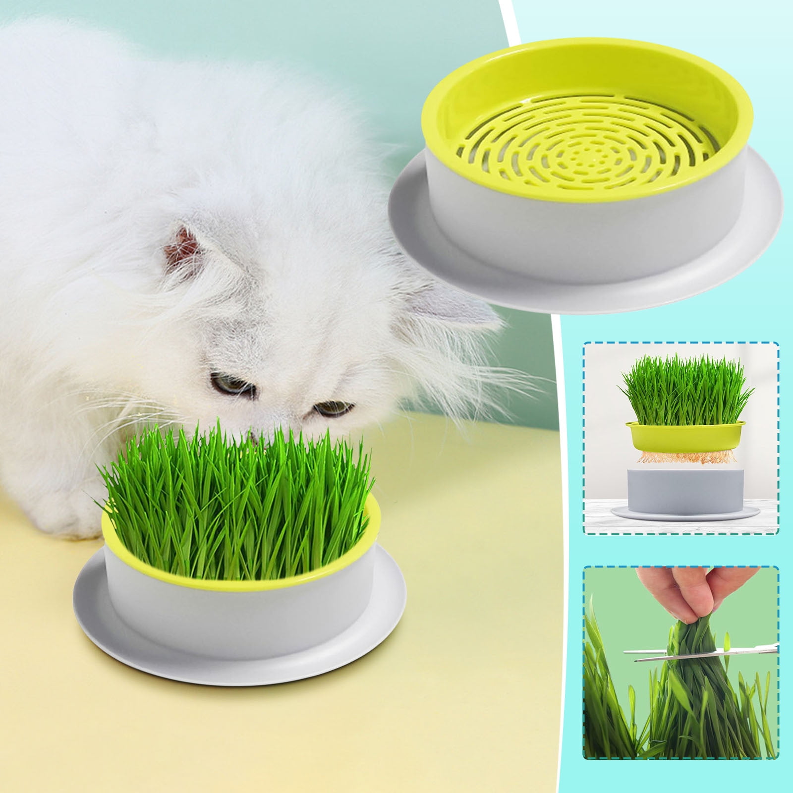 Hydroponic Grass & Vegetable Grow Kit with Self-Watering Porous Pots ...