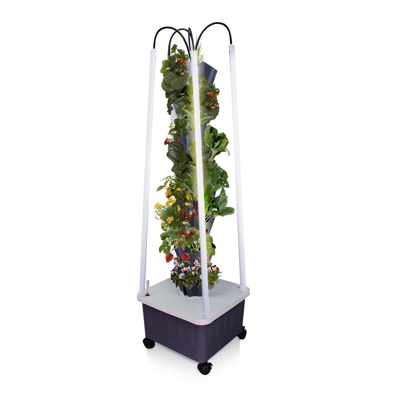 Hydroponic Growing Unit, Perfect for Fruits & Vegetables, Built-in Grow ...