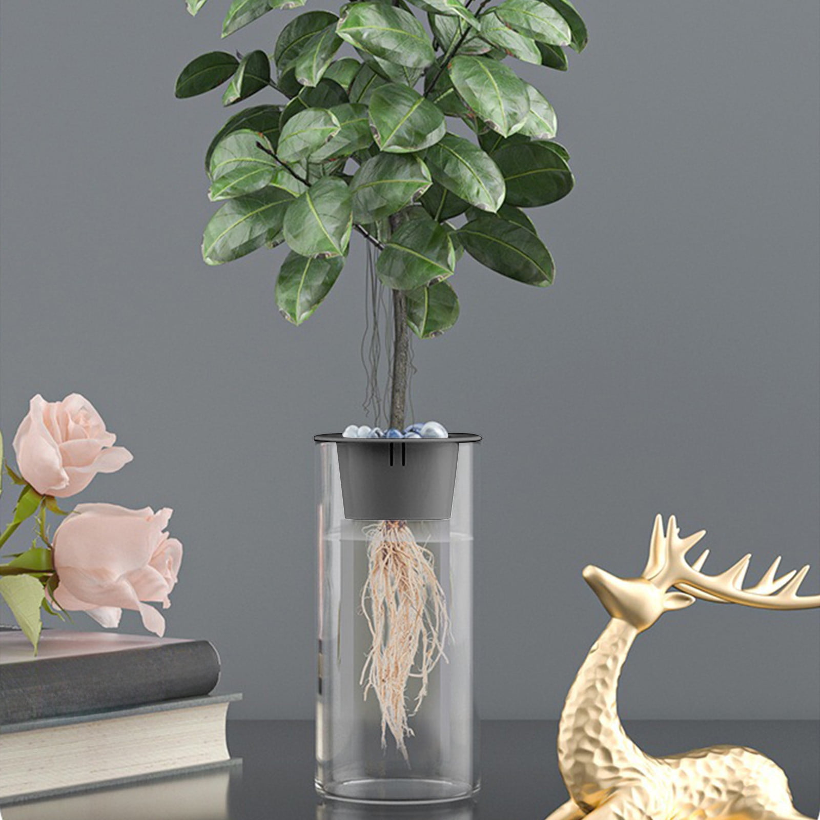 Hydroponic Planting Basket Vase, Clear Glass Planter for Indoor Plants ...