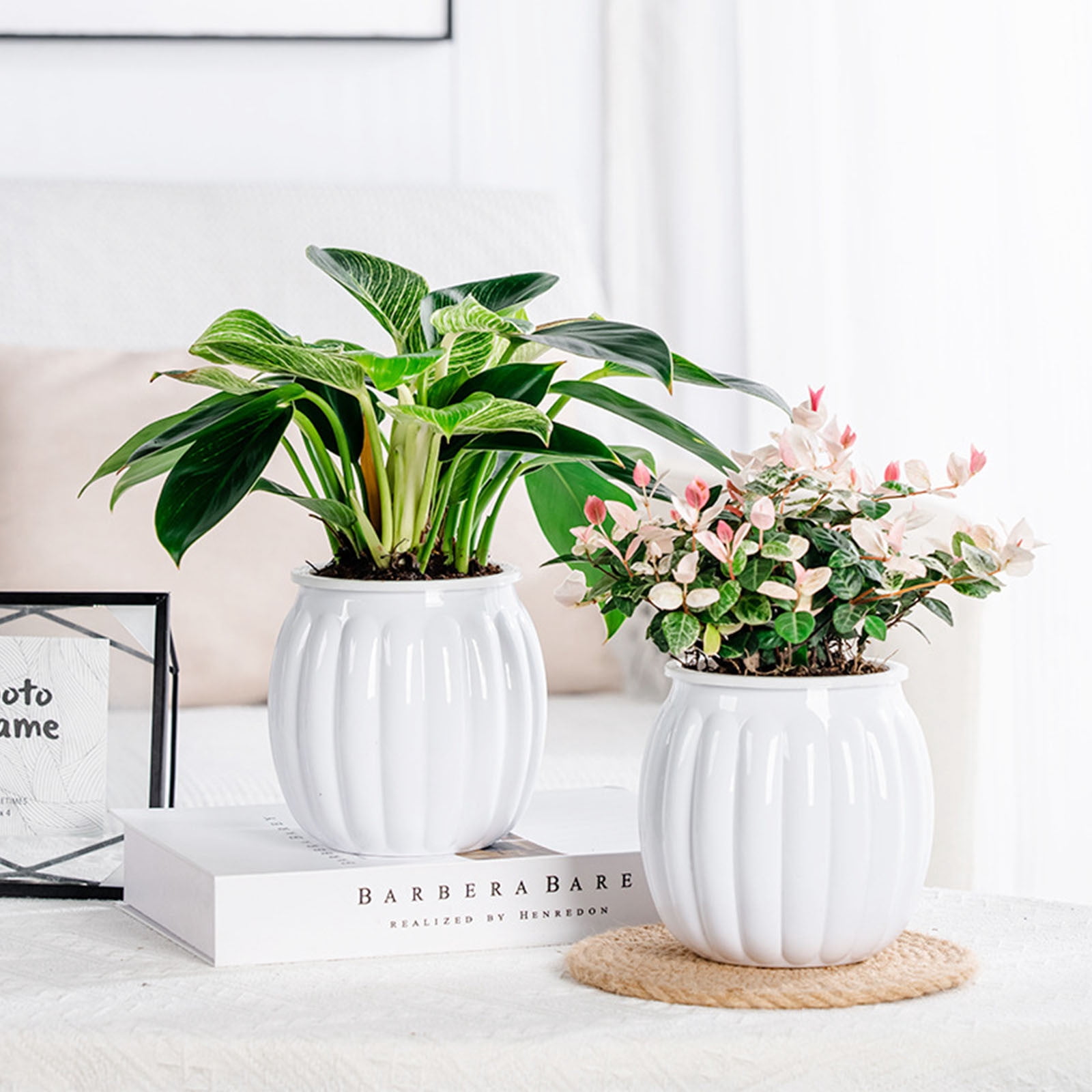 Hydroponic Self-Watering Plant Pots for Indoor Plants | Lazy Plant Care ...