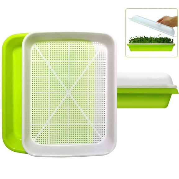 Flower Pot for Indoor Cat Cat Wheat Seedling Planter Hydroponic Kit for ...