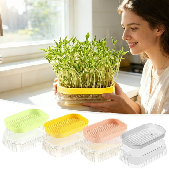 Hydroponic Starter Tray, Transparent Plastic Water-Planting Box for ...