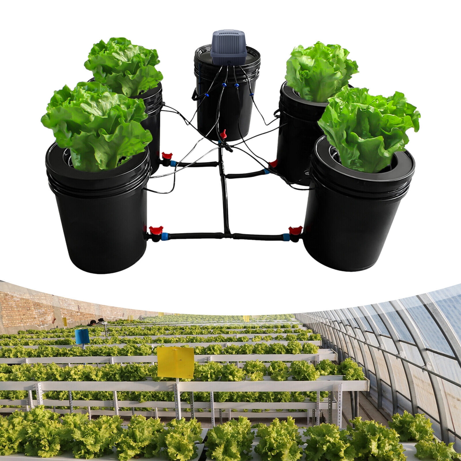 Hydroponic System with Circular Drip Irrigation, 5 Gallon 5 Buckets Hydroponics Growing System ...