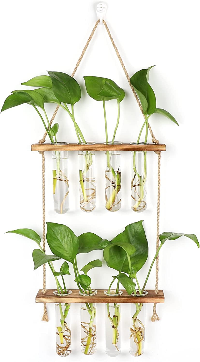 Hydroponic Wall Planter with 8 Glass Tubes, Rope Hanger & Wooden Stand ...