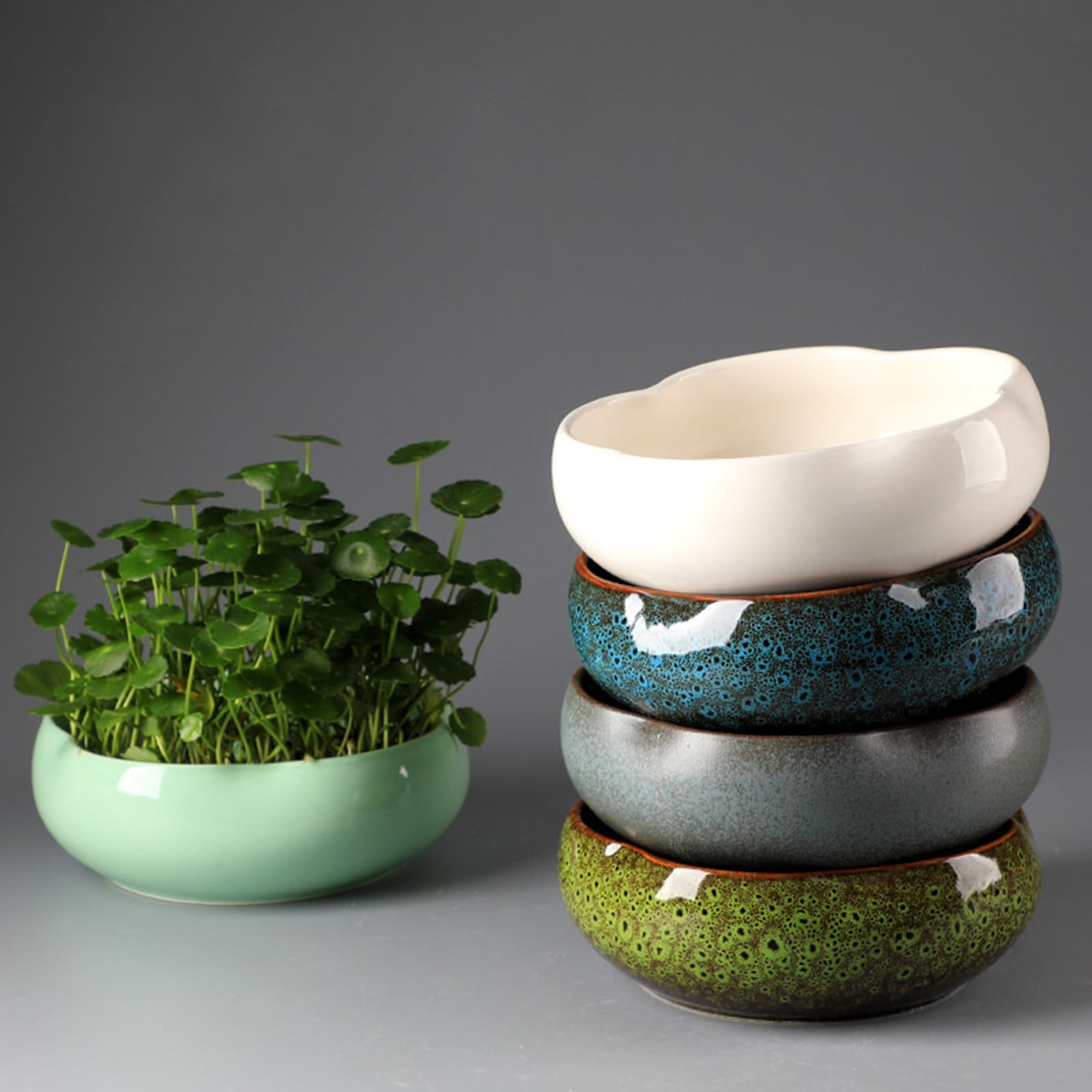 Hydroponic Waterlily Pot | No-Hole Design for Hassle-Free Water Plant ...