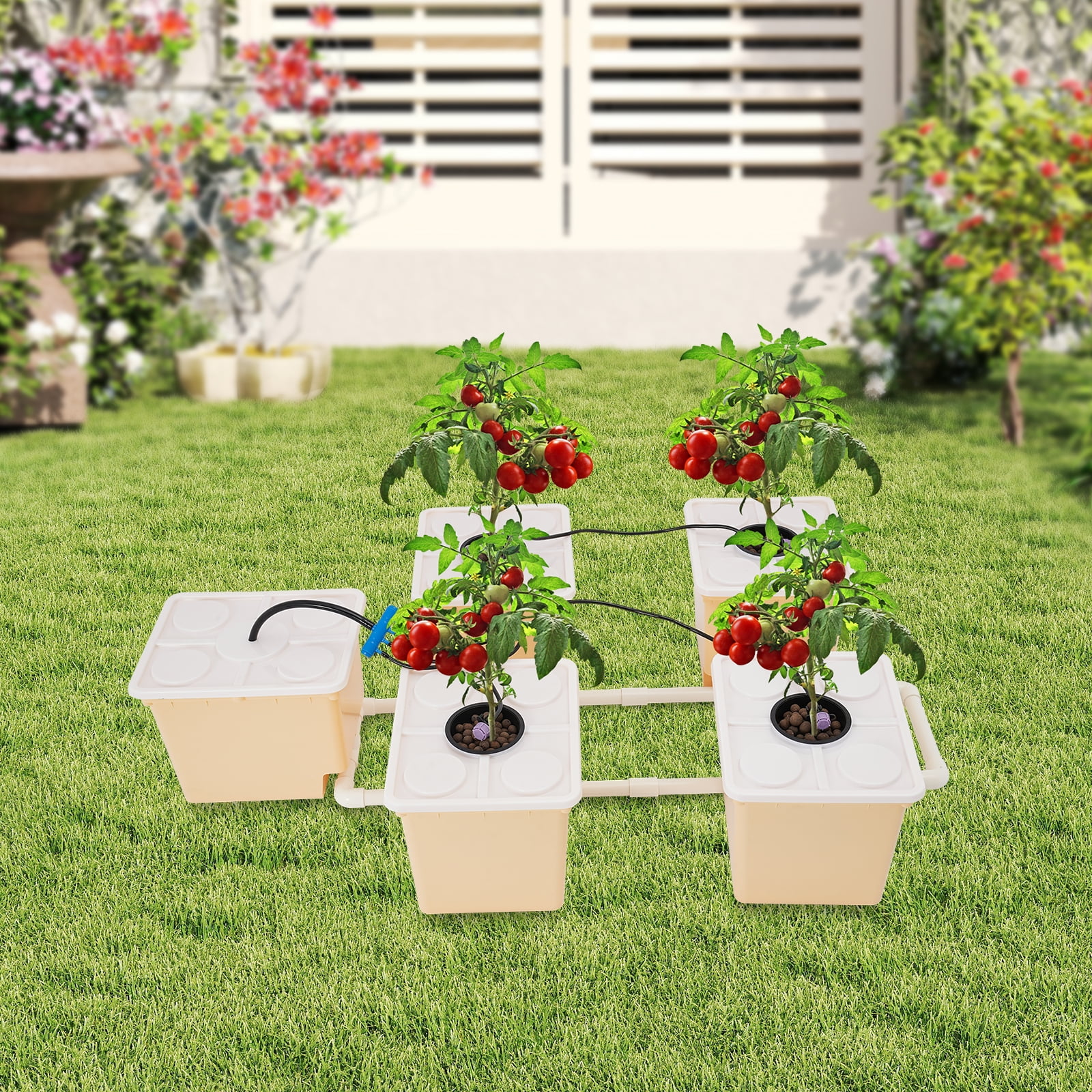 Hydroponics Drip Growing System 5 Sites Dutch Buckets w/Lids ...