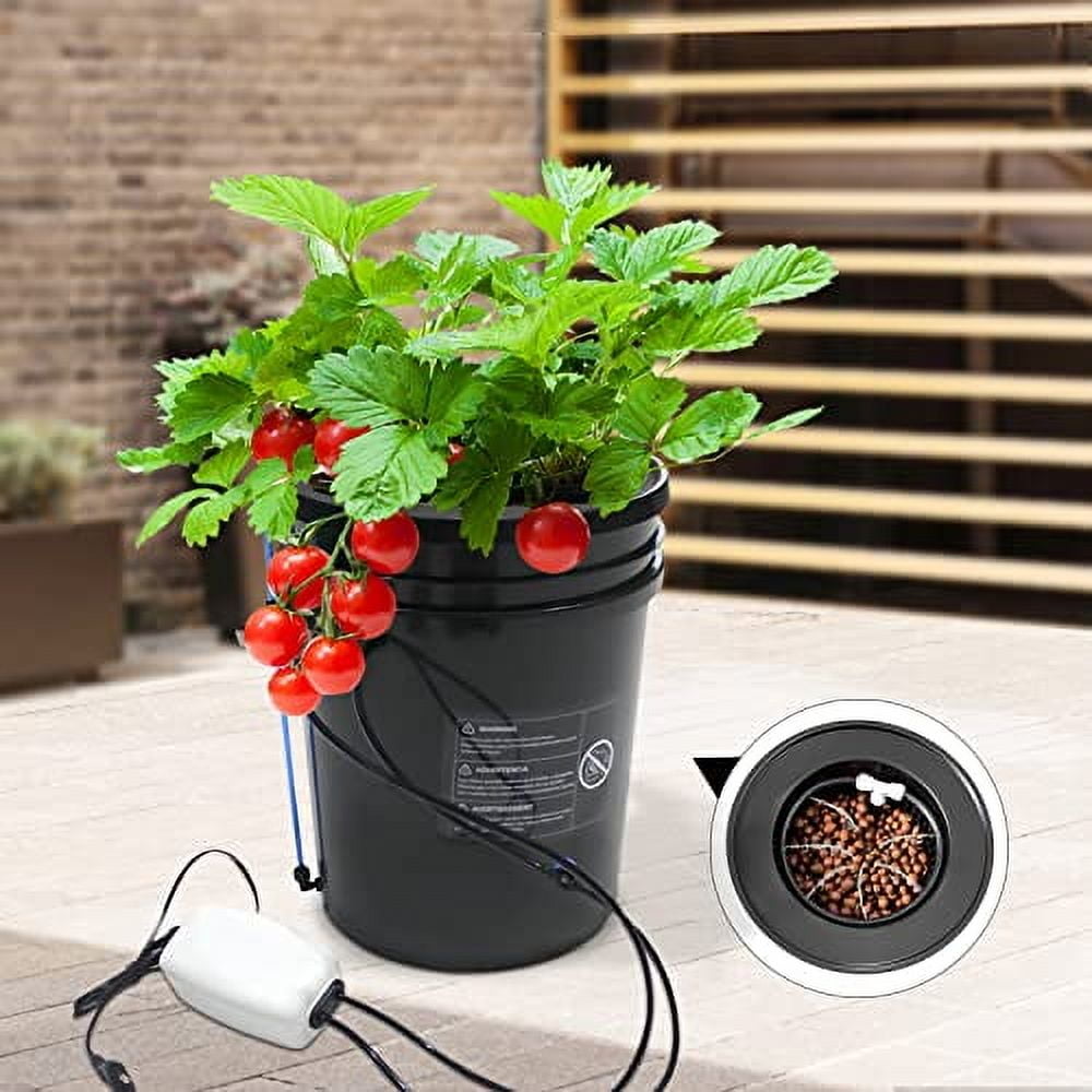 Hydroponics Grow System, 5 Gallon Bucket Kit, Hydroponic Machine, Drip Irrigation for Vegetables ...