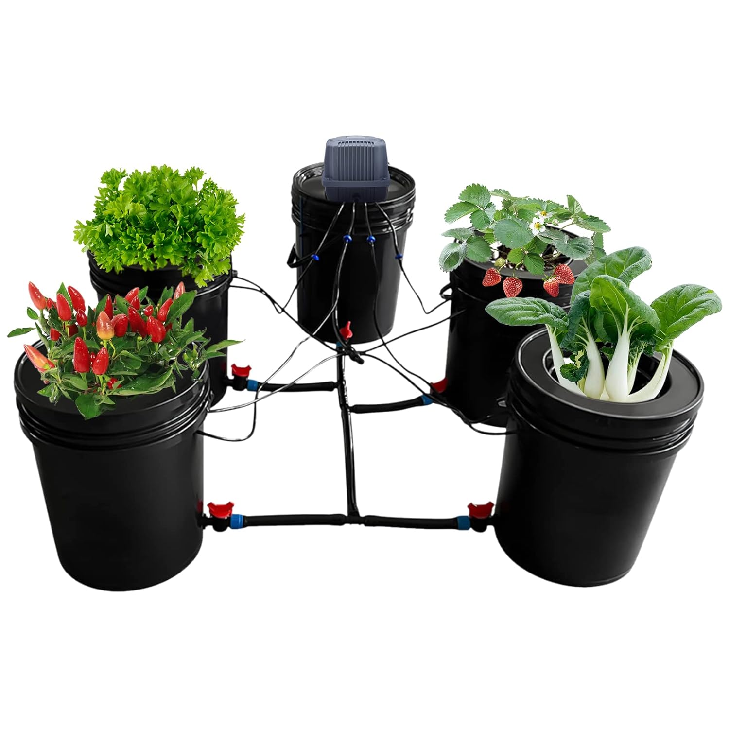 Hydroponics Grow System, 5 Pots Recirculating Deep Water Culture Kit ...