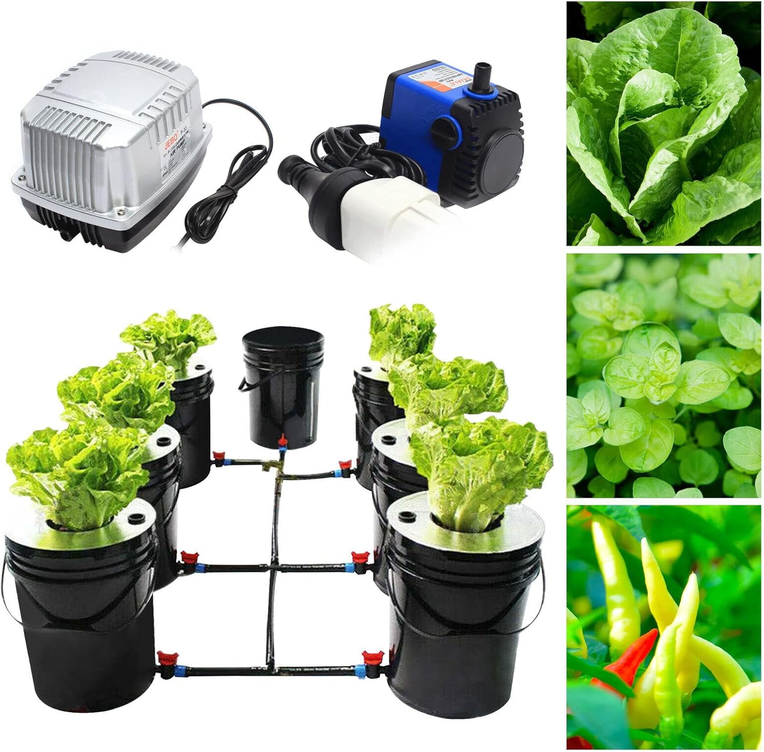 Hydroponics Growing Kit, 7 Pot Hydroponic Grow System Kit 5 Gallon ...